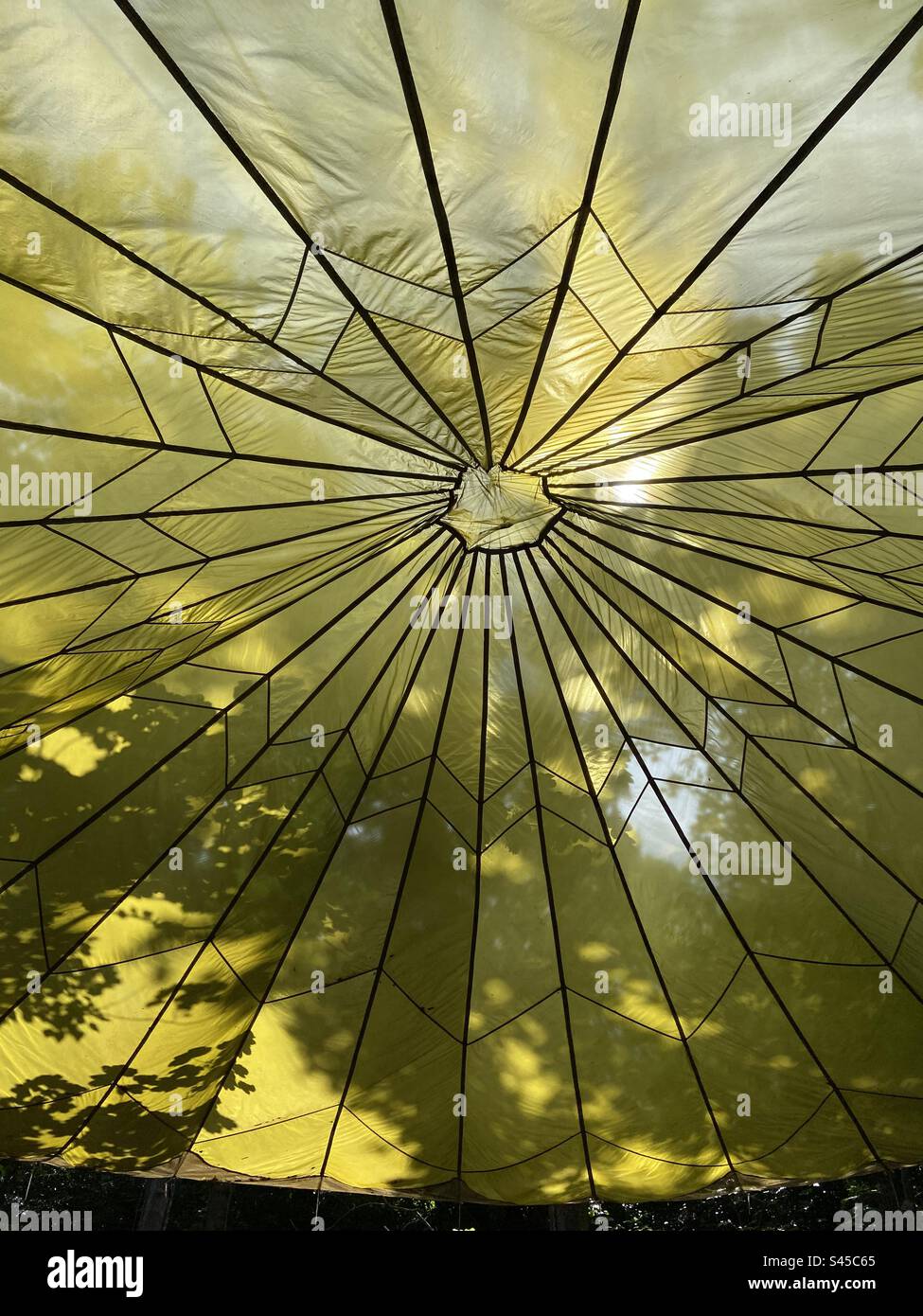 Dappled light through leaves hi-res stock photography and images - Alamy