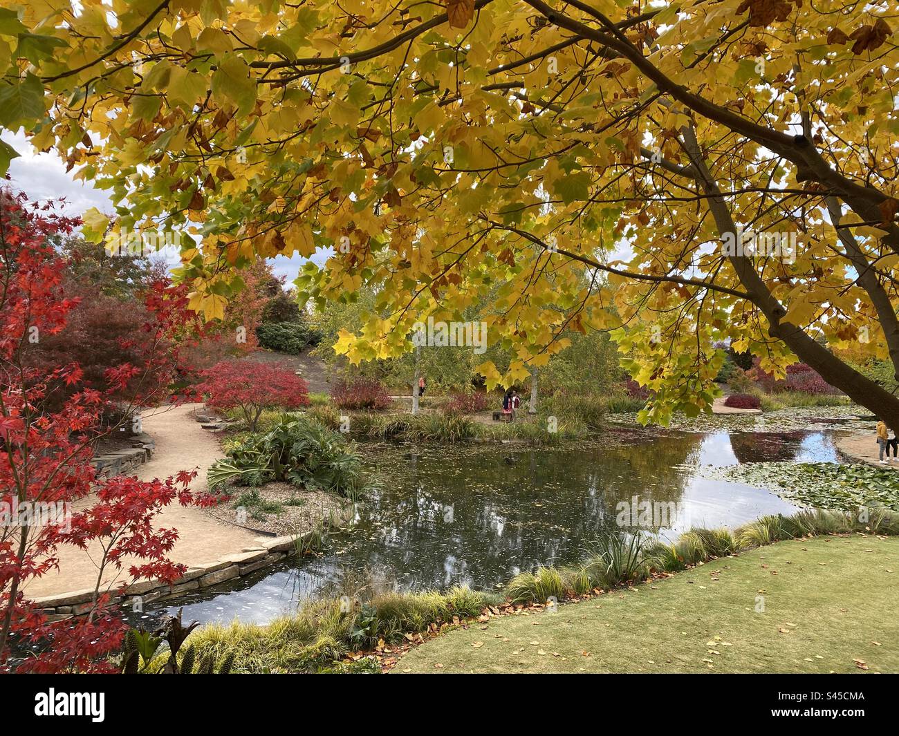 Mayfield garden hi-res stock photography and images - Alamy