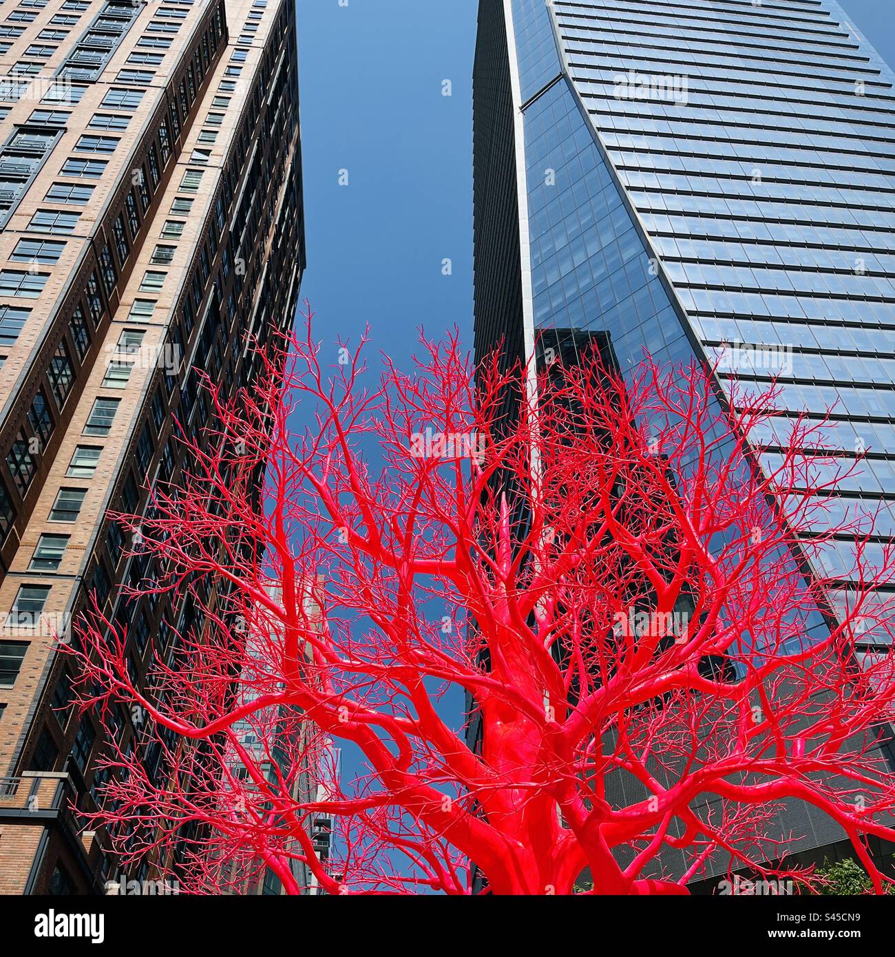 High line and new york and summer hi-res stock photography and images ...