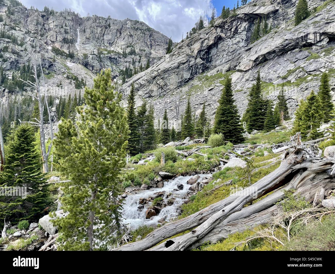 Beartooth mountain hi-res stock photography and images - Alamy