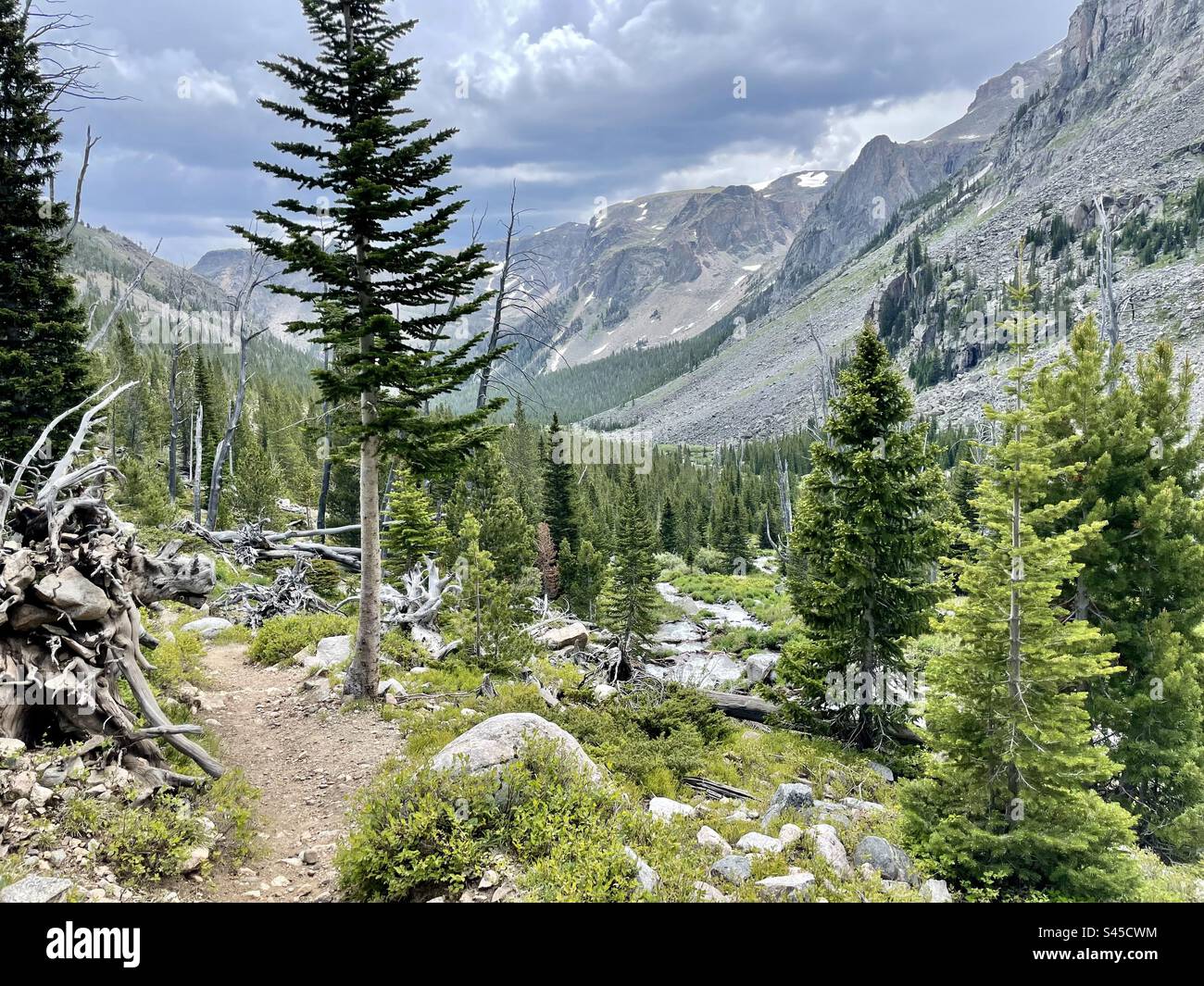 Beartooth mountains hi-res stock photography and images - Alamy