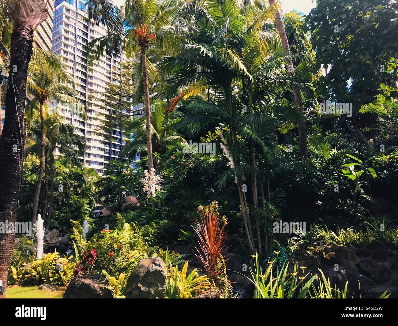 High rise building trees hi-res stock photography and images - Alamy