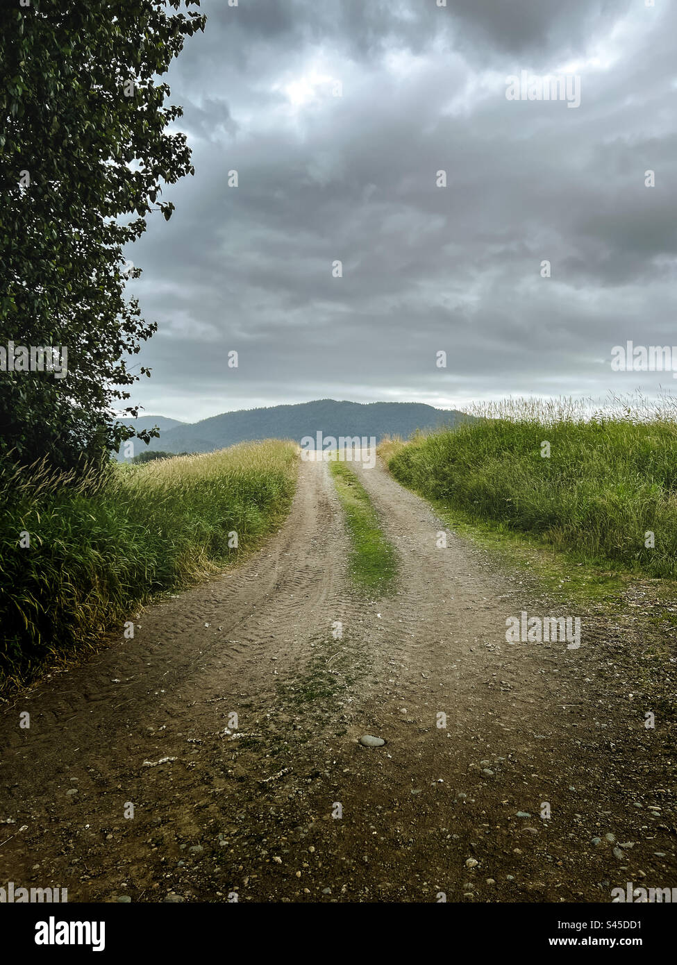 Old country road Stock Photo - Alamy