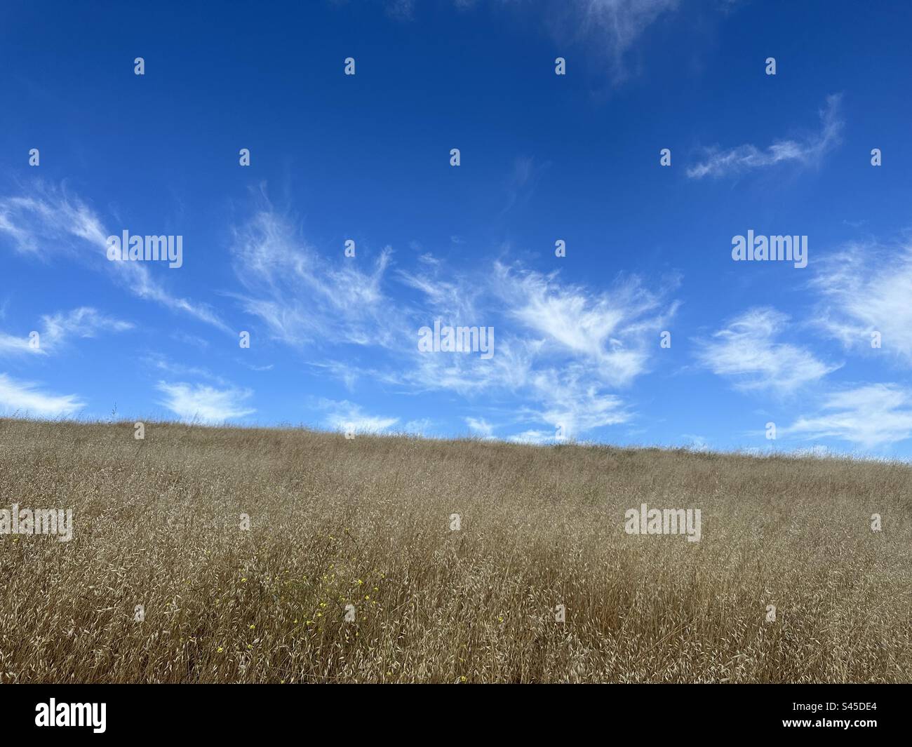 Big blue sky hi-res stock photography and images - Alamy
