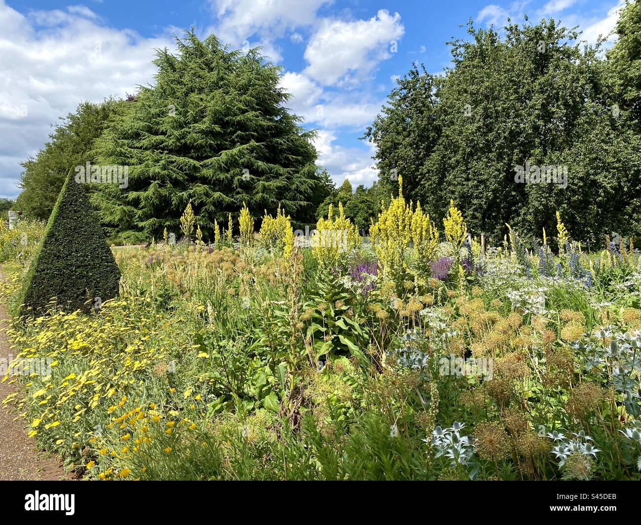 London wild flowers hi-res stock photography and images - Alamy