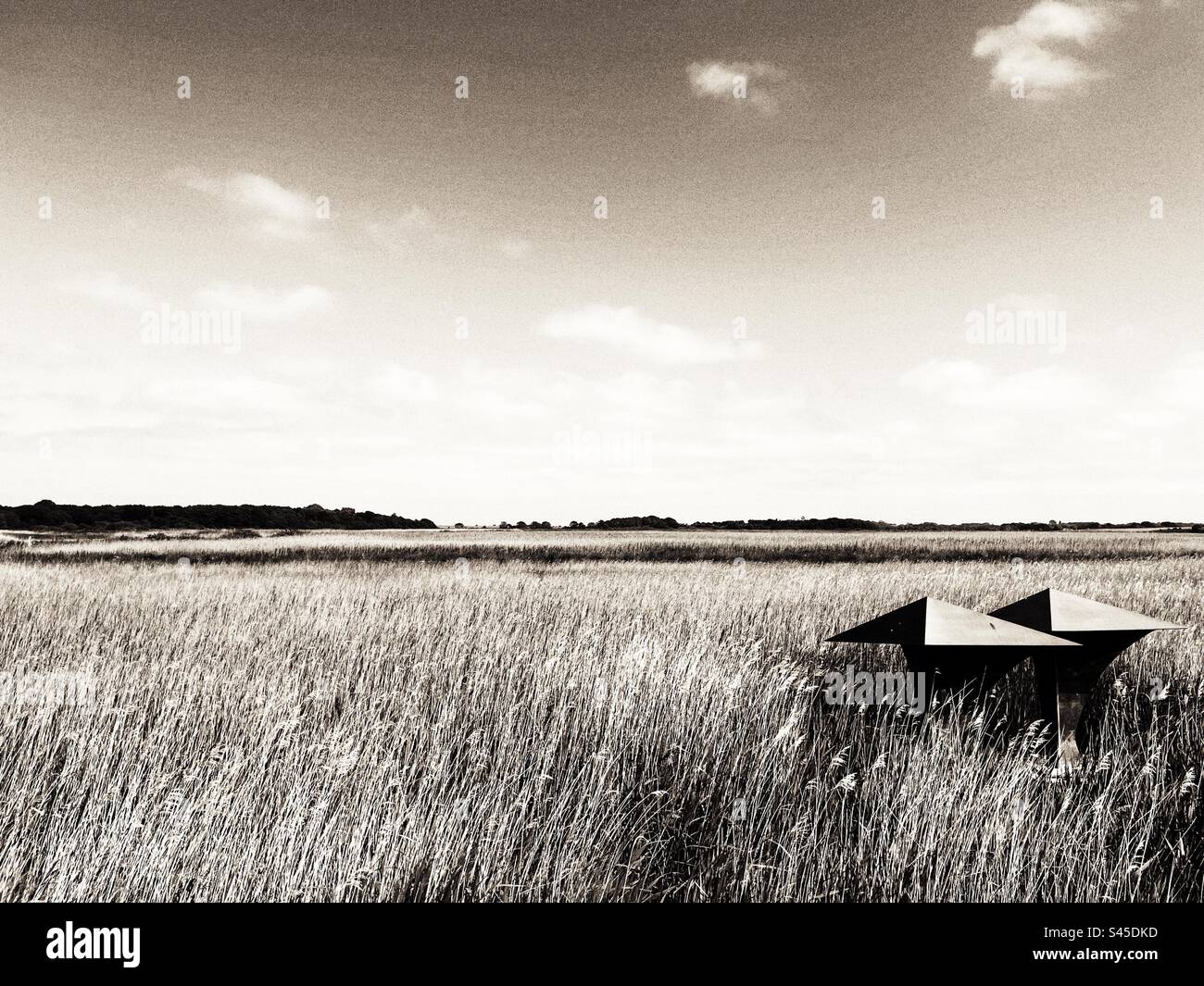 Rachel Wilding ‘migrant Snape Maltings Suffolk Stock Photo - Alamy