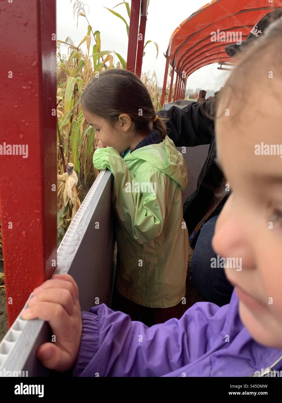 Corn maze tractor hi-res stock photography and images - Alamy