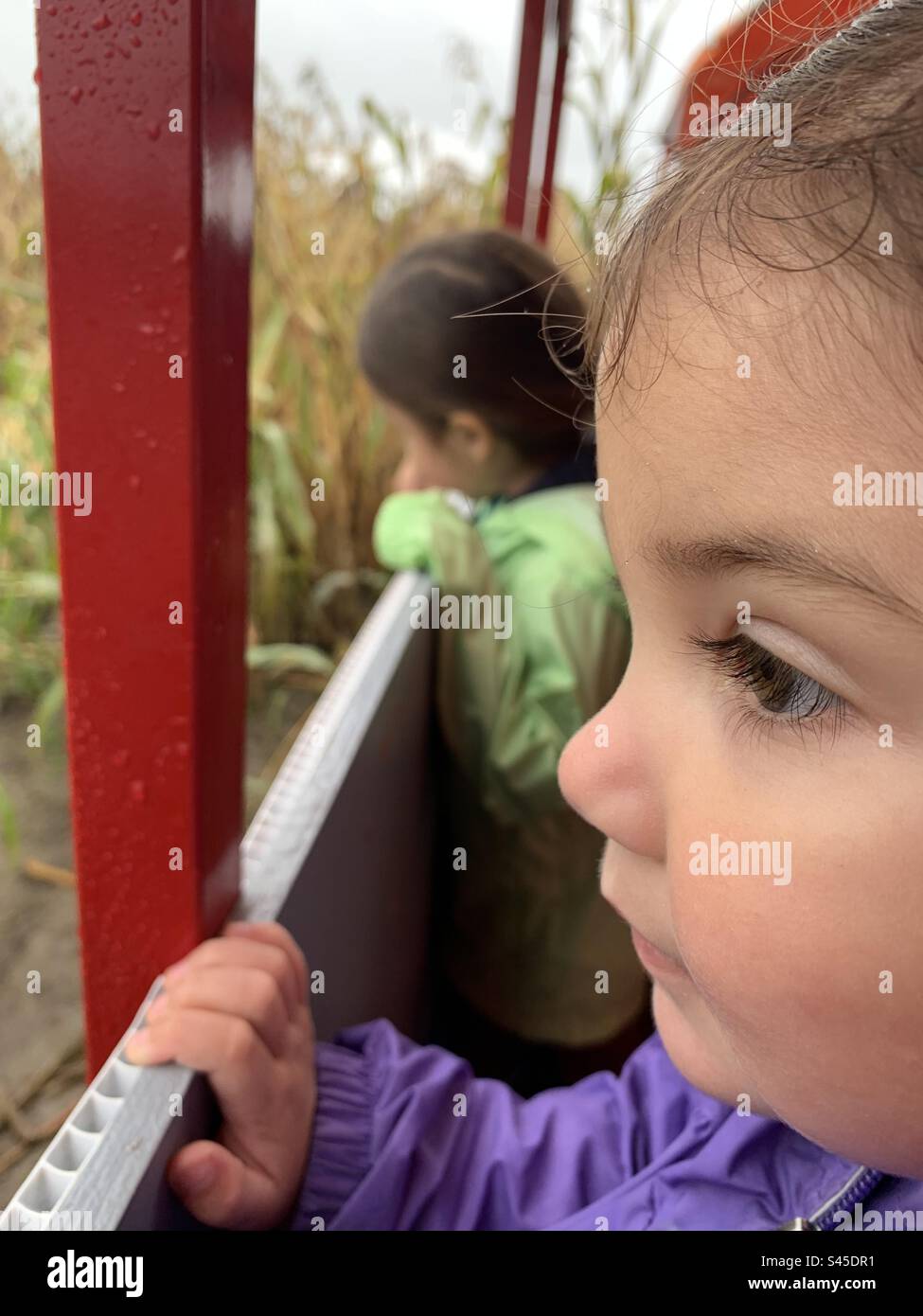 Corn maze tractor hi-res stock photography and images - Alamy