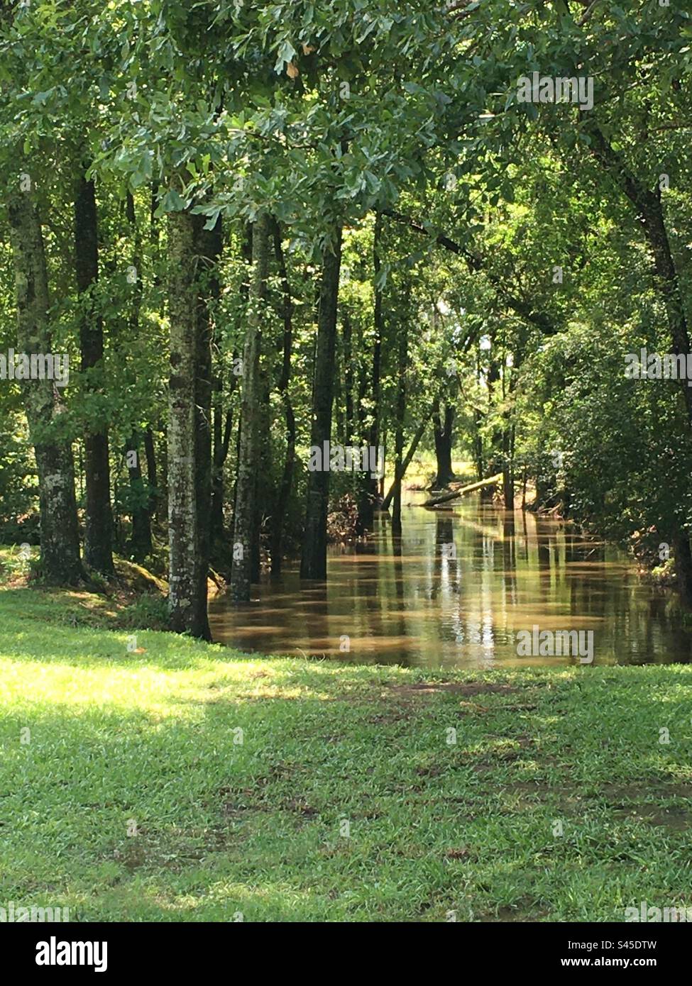 Full water flow hi-res stock photography and images - Alamy