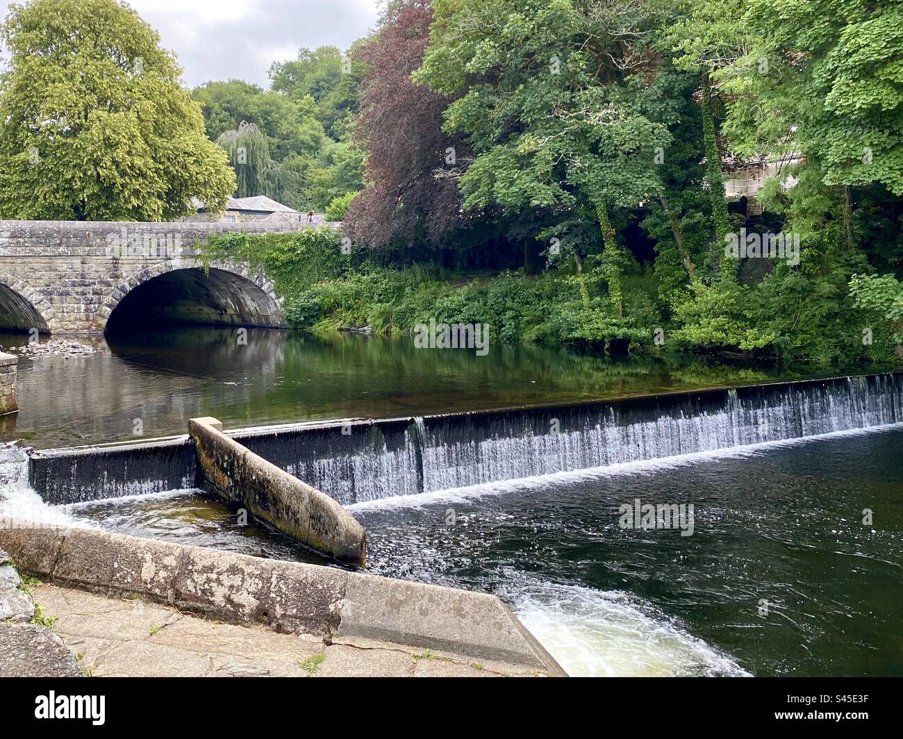 Devon river bridge trees hi-res stock photography and images - Alamy