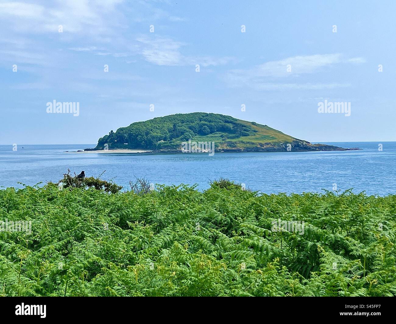 Looe island cornwall hi-res stock photography and images - Alamy