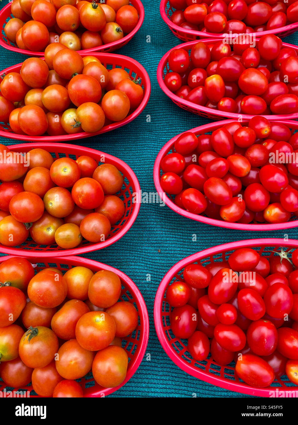 Trays fresh cherry tomatoes hi-res stock photography and images - Alamy