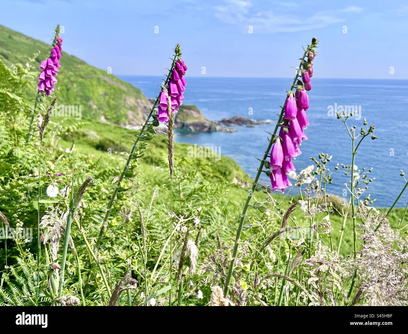 South cornish coast hi-res stock photography and images - Alamy