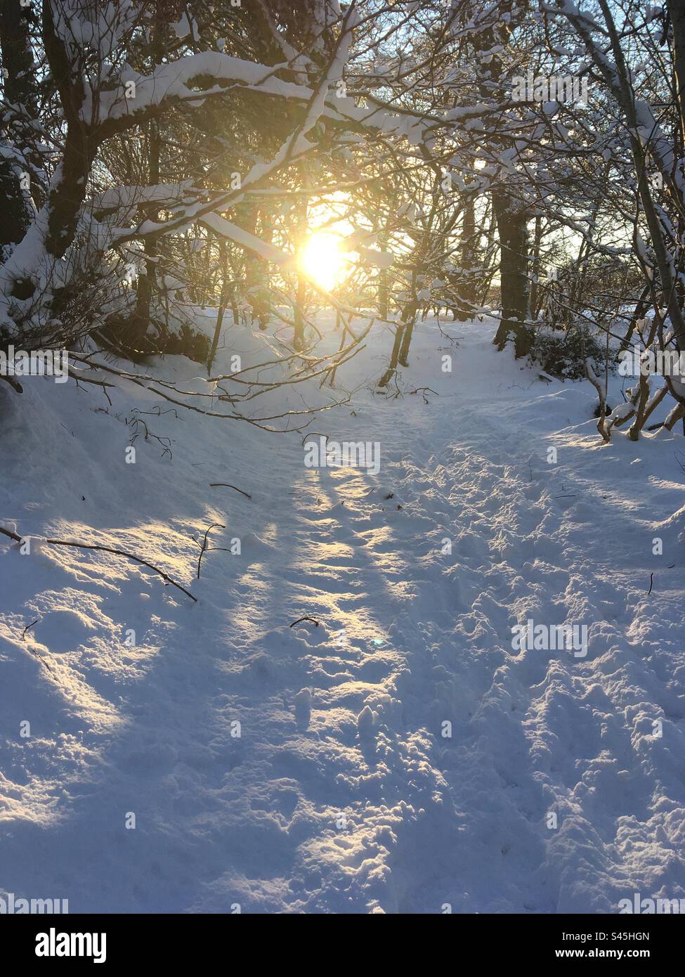 Sunlight on snow Stock Photo - Alamy