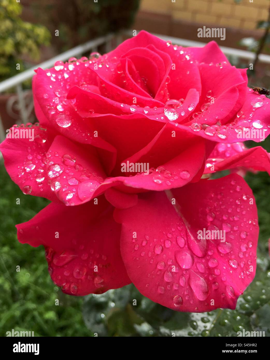 Lluvia roja hi-res stock photography and images - Alamy