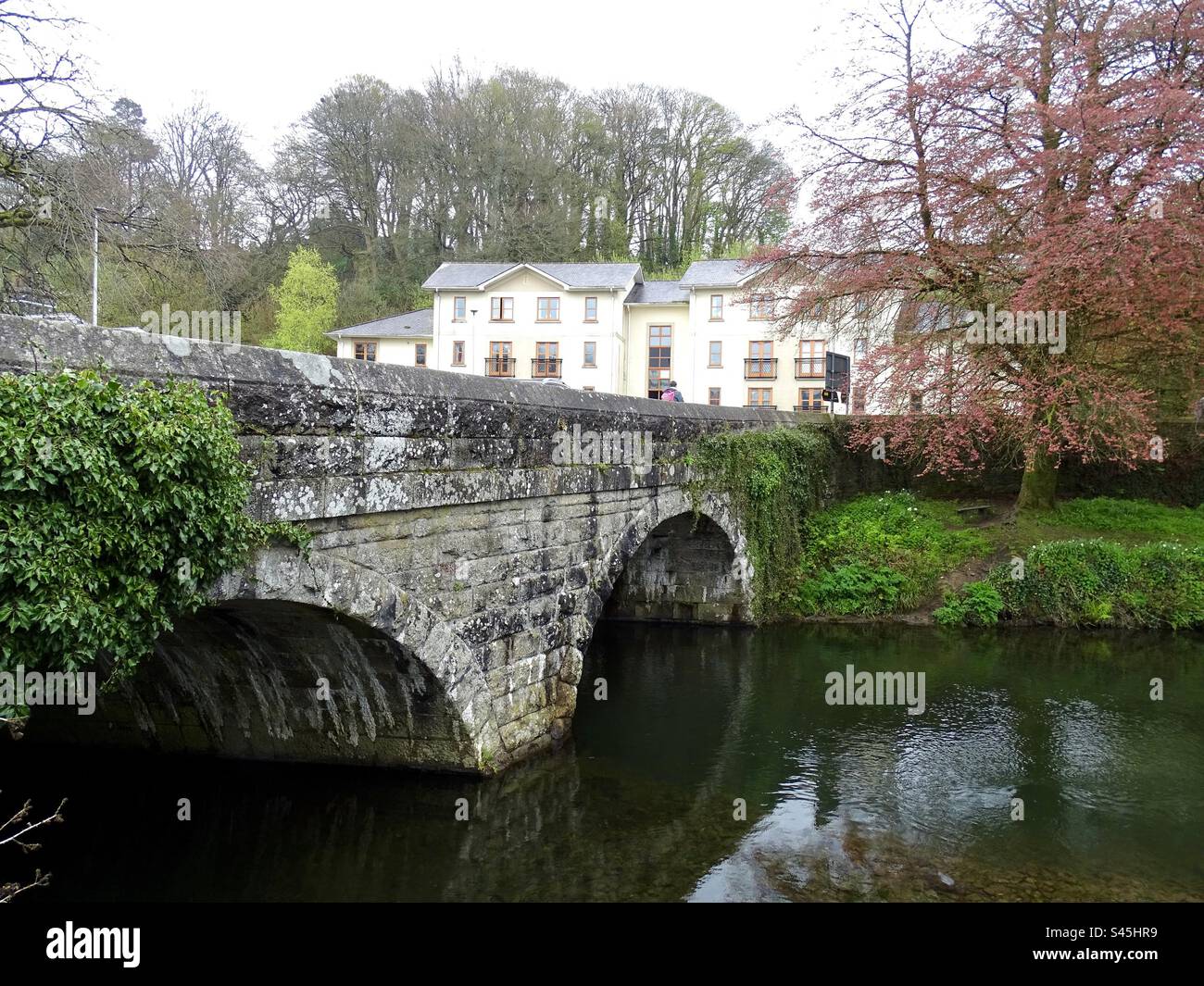 River tavy hi-res stock photography and images - Alamy