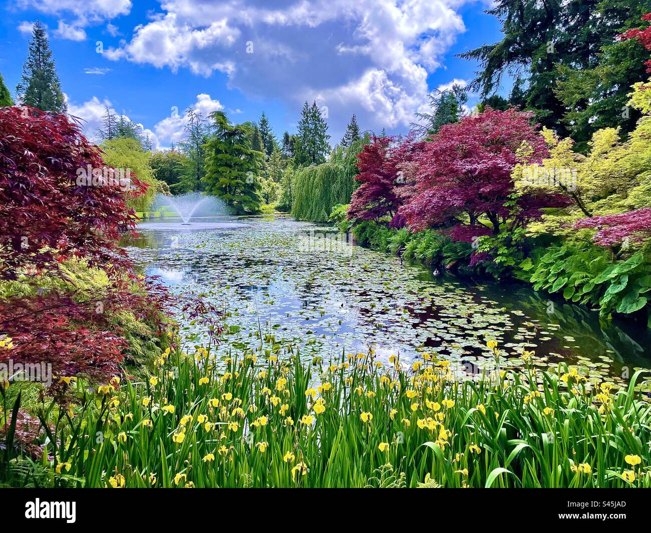 Vandusen hi-res stock photography and images - Alamy