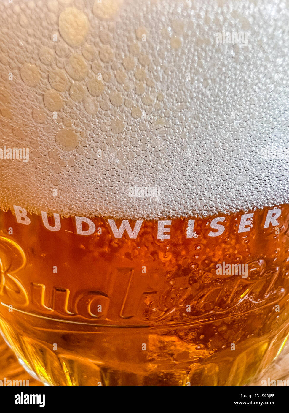 Budweiser budvar beer hi-res stock photography and images - Alamy