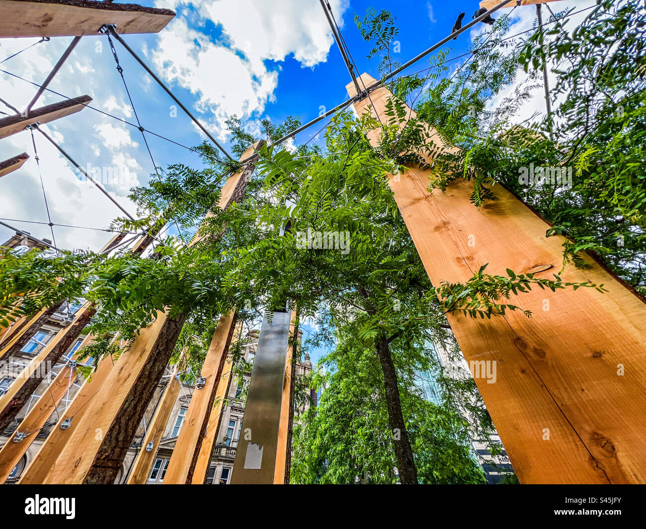 Leeds city square magical ancient forest sculpture Stock Photo - Alamy