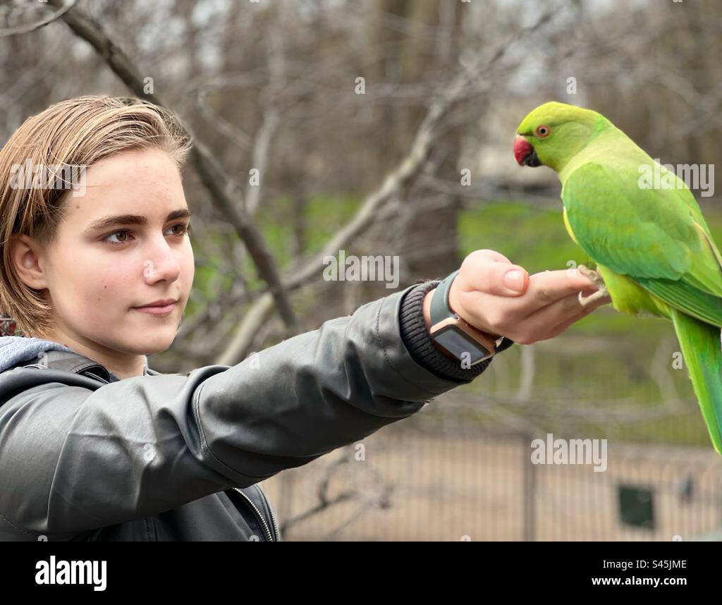 Parrot girl hi-res stock photography and images - Alamy