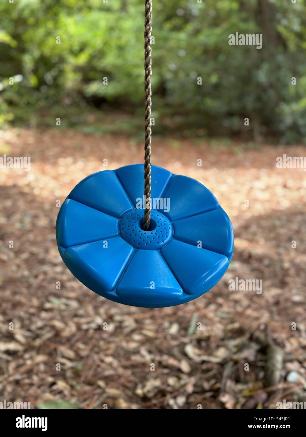 Blue rope swing hanging from forest tree Stock Photo - Alamy