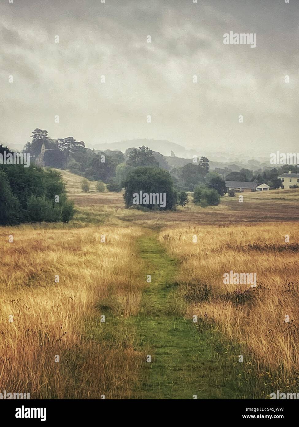 Peachfield Common in the rain Stock Photo - Alamy