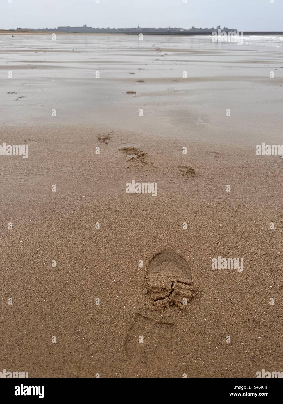 Footprints on a beach on wet sand, leading towards a building in the ...