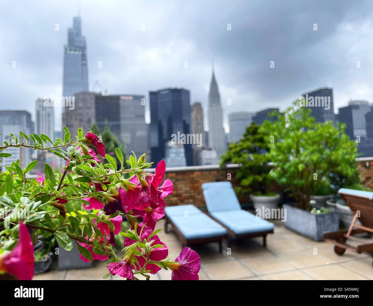 A view of Midtown sky, scrapers from a luxury roof deck in Murray Hill ...
