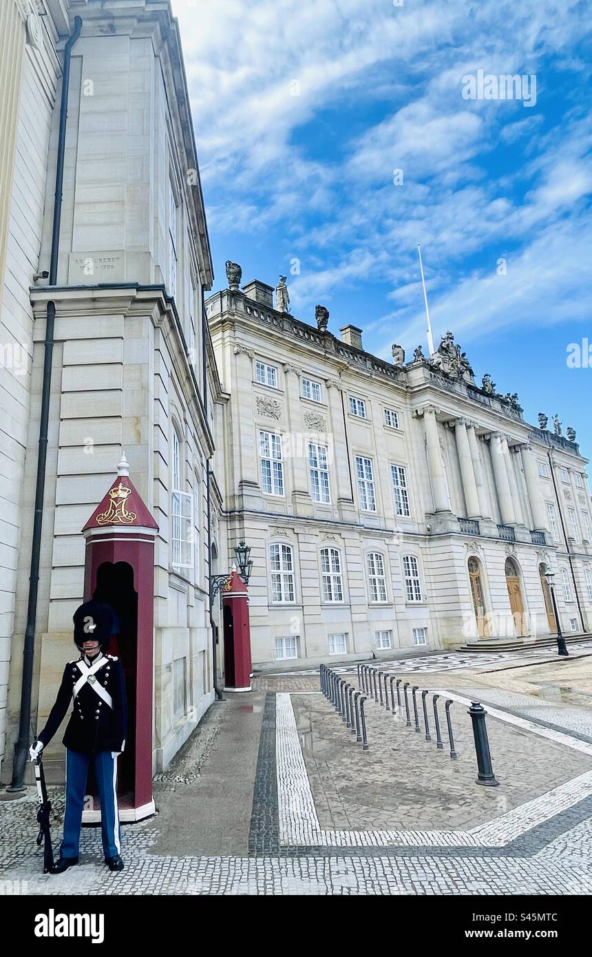 A Royal Danish guard at Amalienborg castle in Copenhagen, Denmark Stock ...