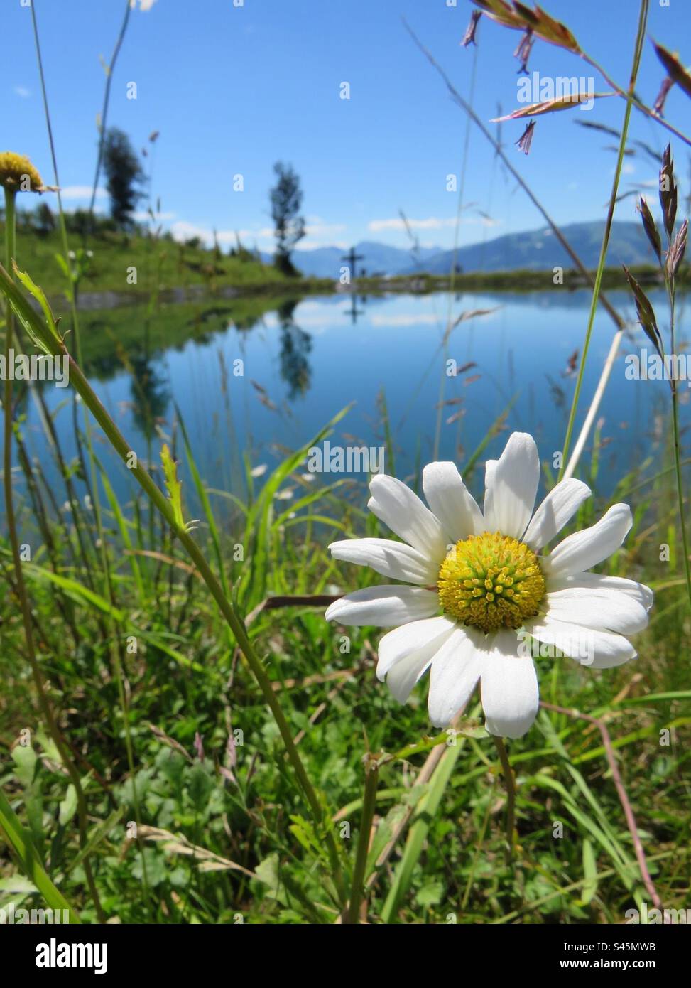 Going am wilden kaiser hi-res stock photography and images - Alamy