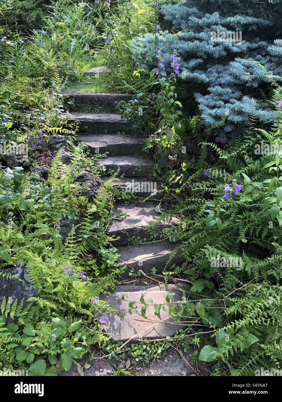 Stone path leading up in a park Stock Photo - Alamy