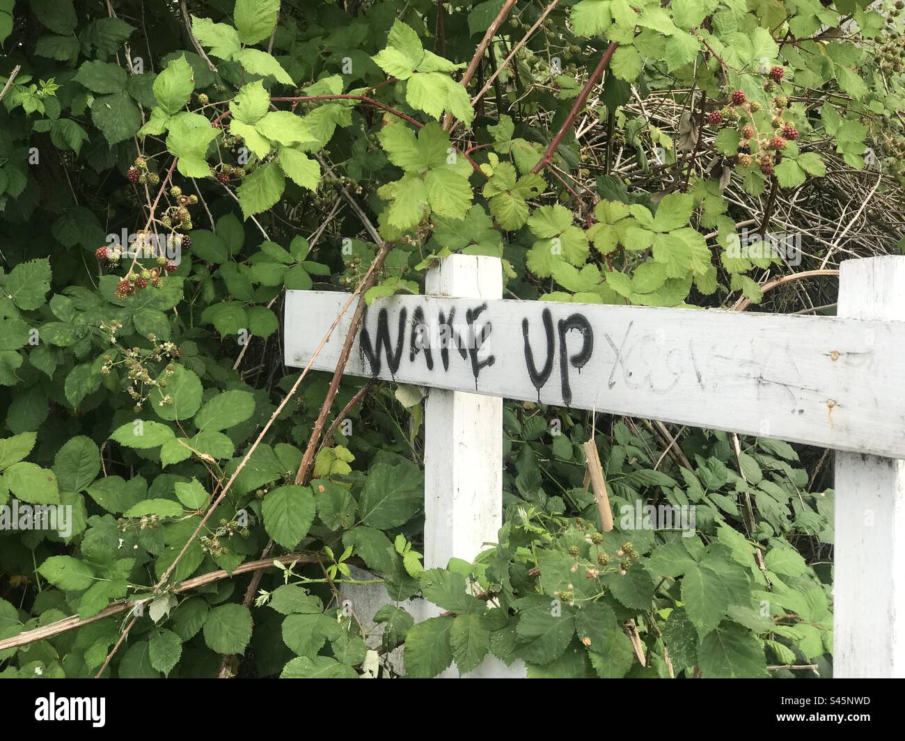White wood fence in wild bush, with black words WAKE UP spray painted ...