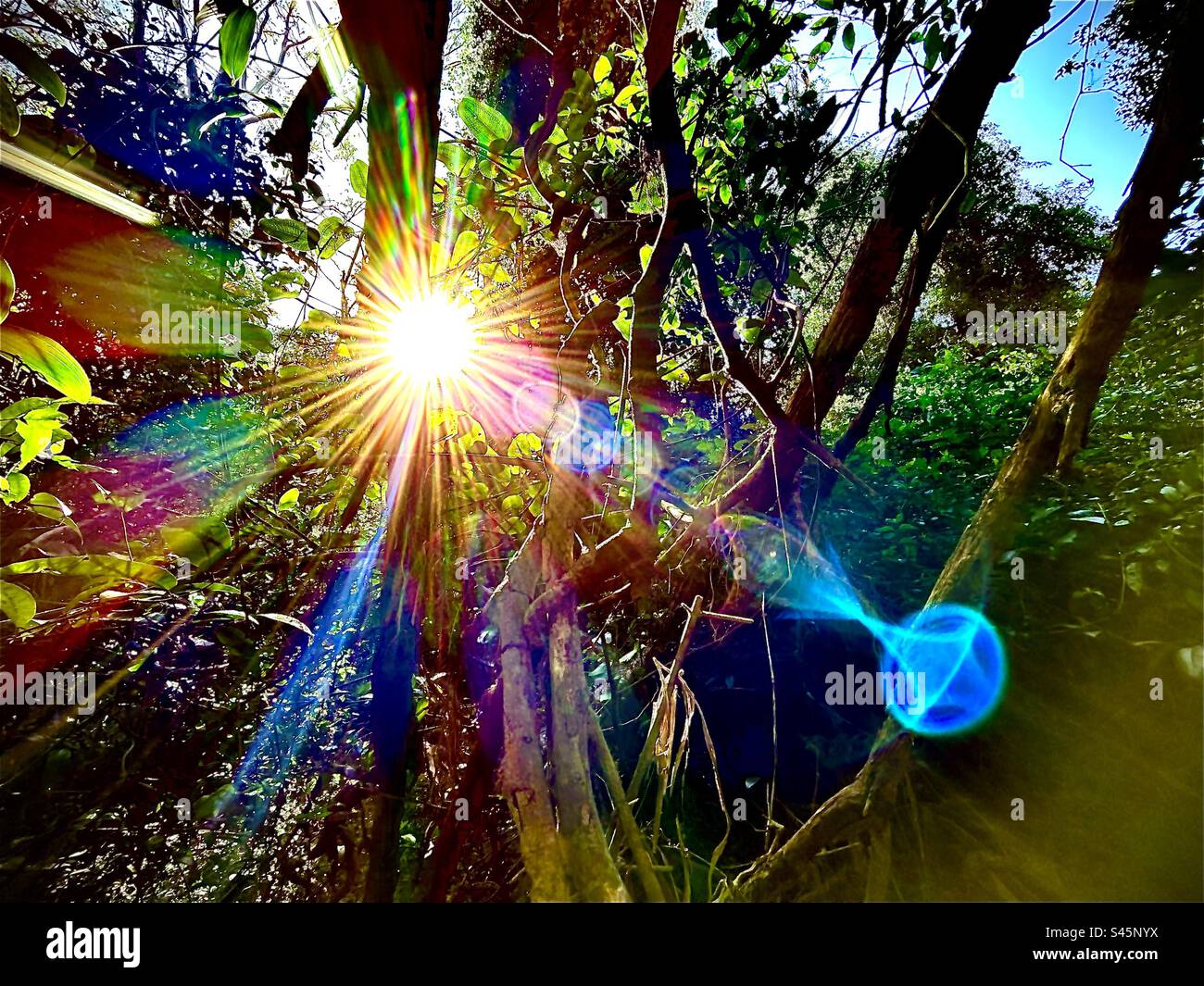 Altered perception hi-res stock photography and images - Alamy
