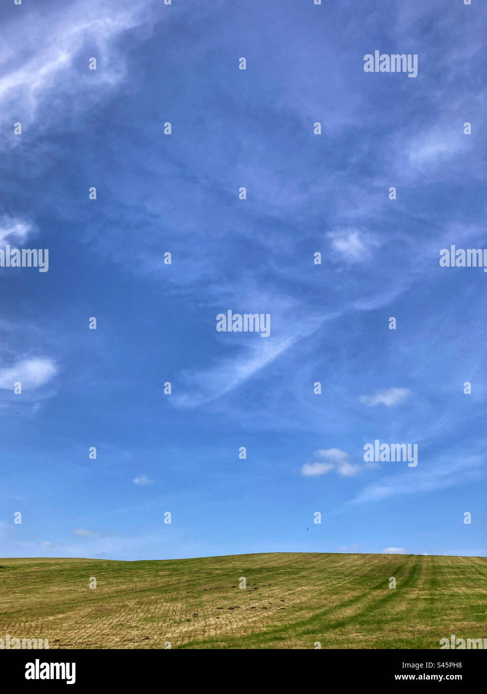 Empty field hi-res stock photography and images - Alamy