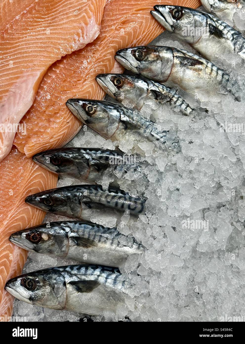 A row of mackerel and salmon fillets on a bed of ice in a supermarket ...