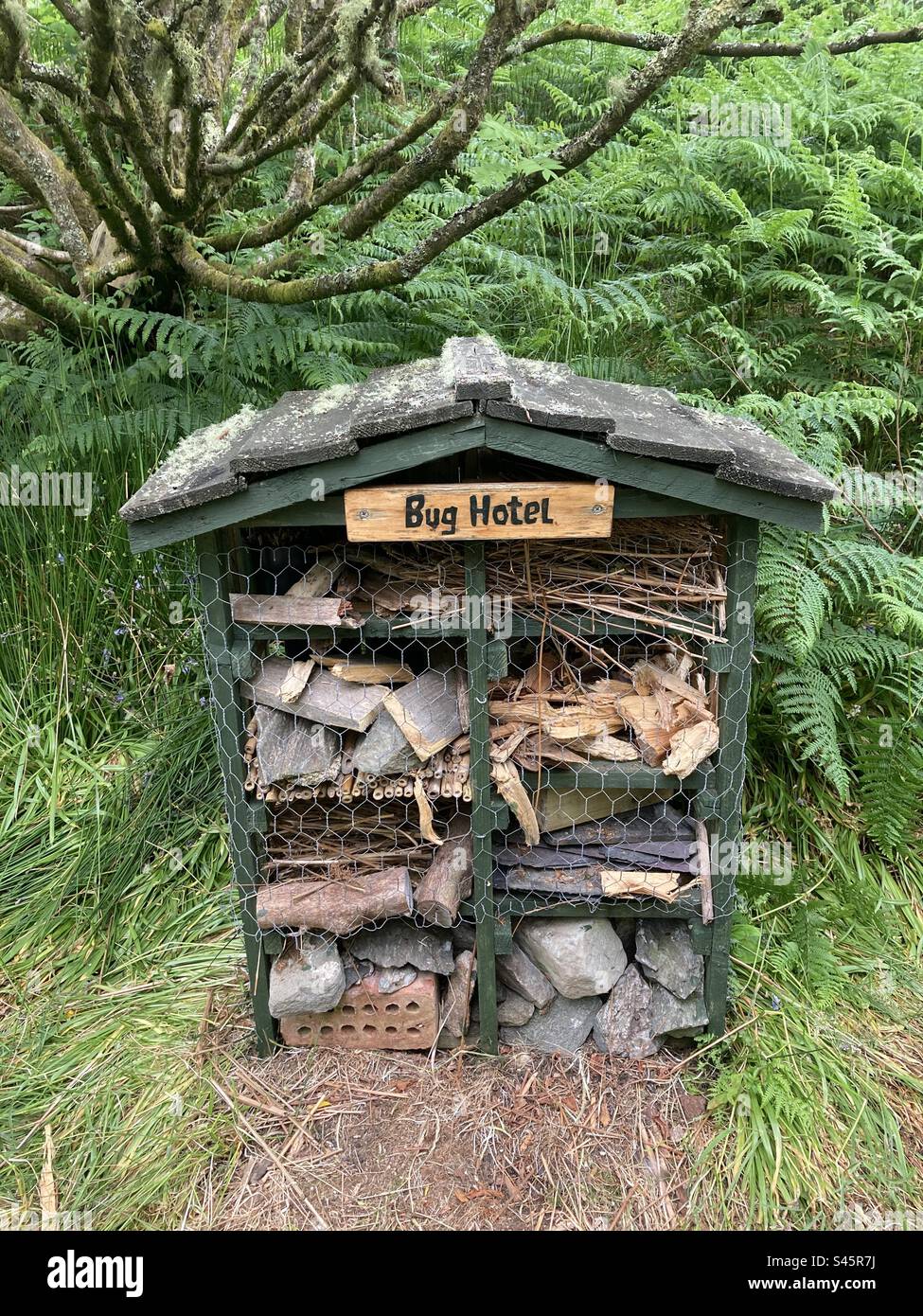 Bugs house hi-res stock photography and images - Alamy
