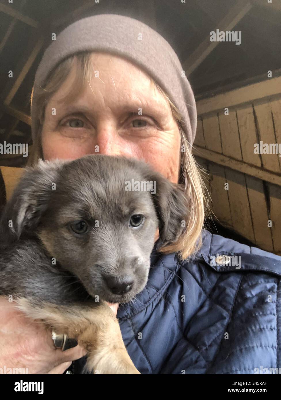 Blue jack hi-res stock photography and images - Alamy