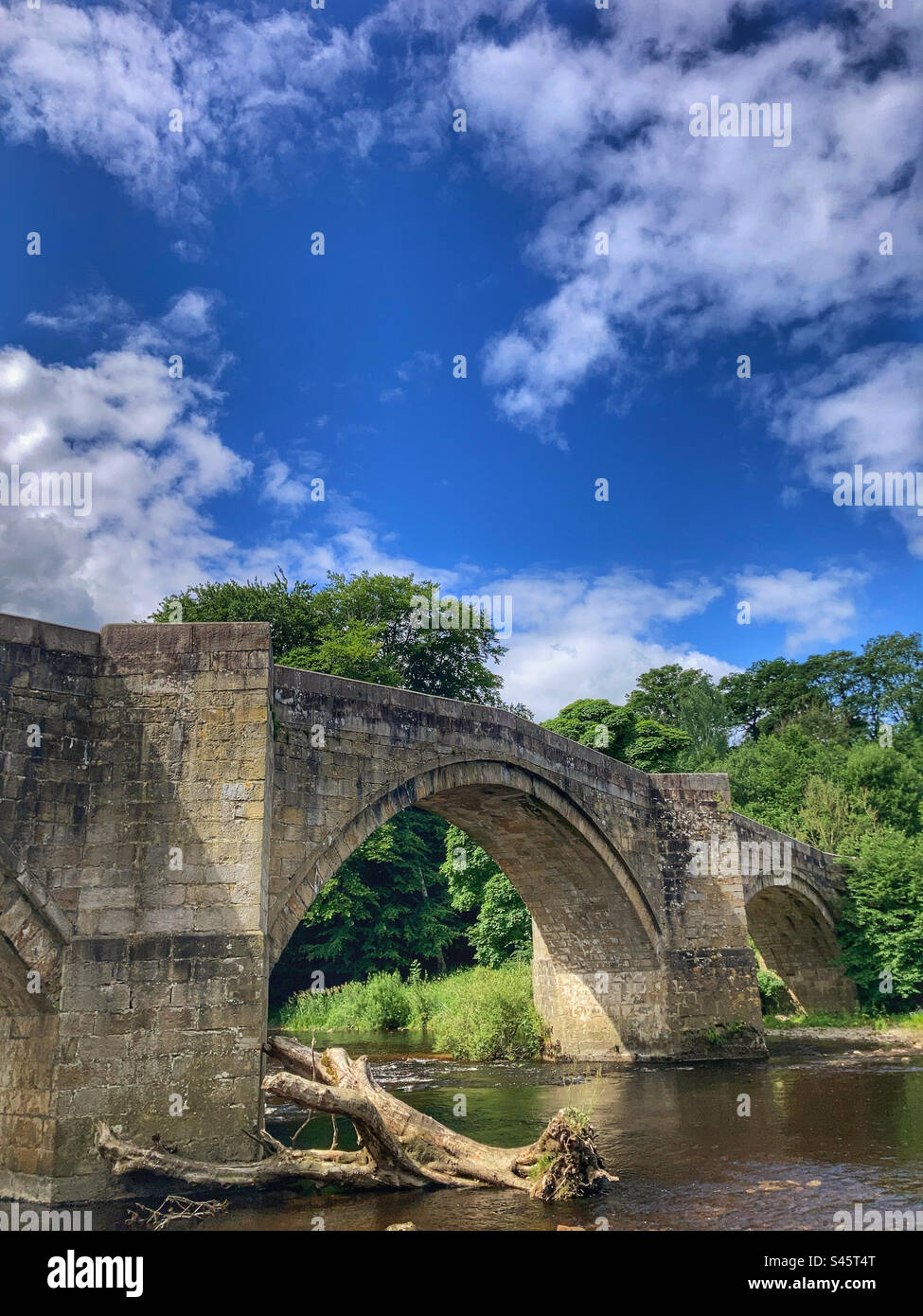 Barden Bridge on the river Wharfe North Yorkshire Stock Photo - Alamy