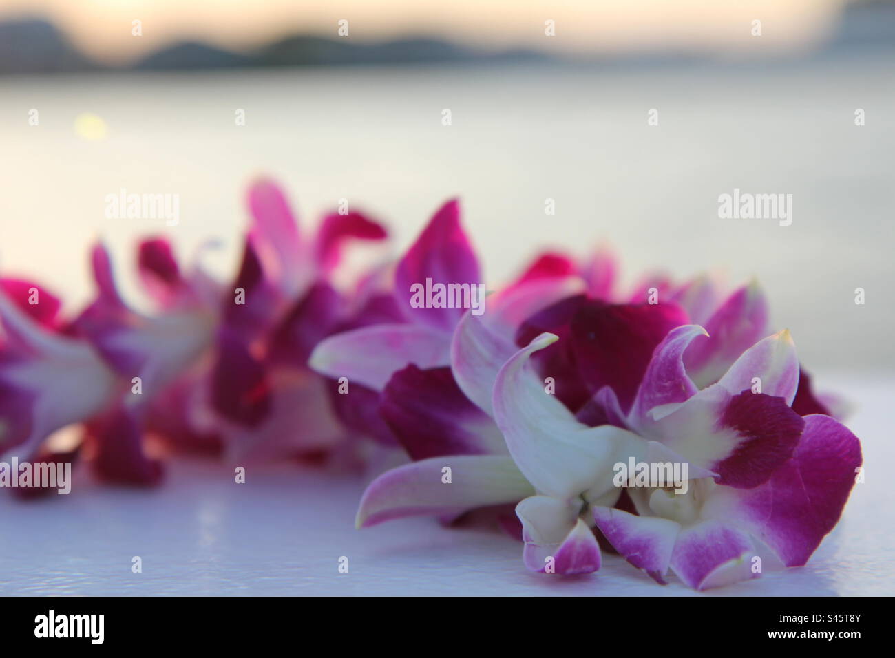Hawaiian lei hi-res stock photography and images - Alamy