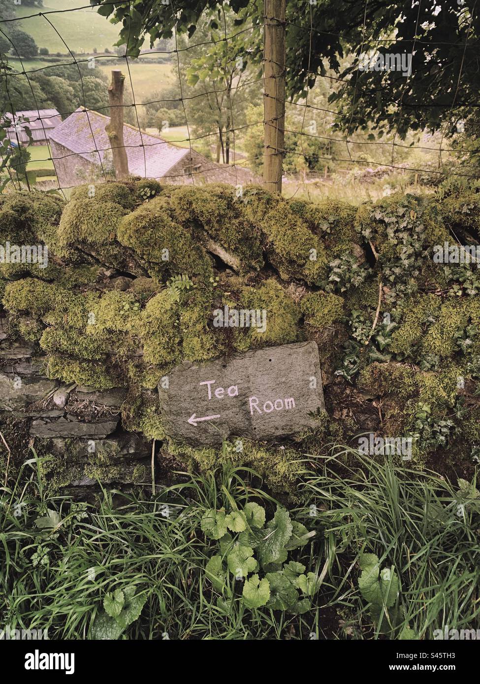 Tearoom sign hi-res stock photography and images - Alamy