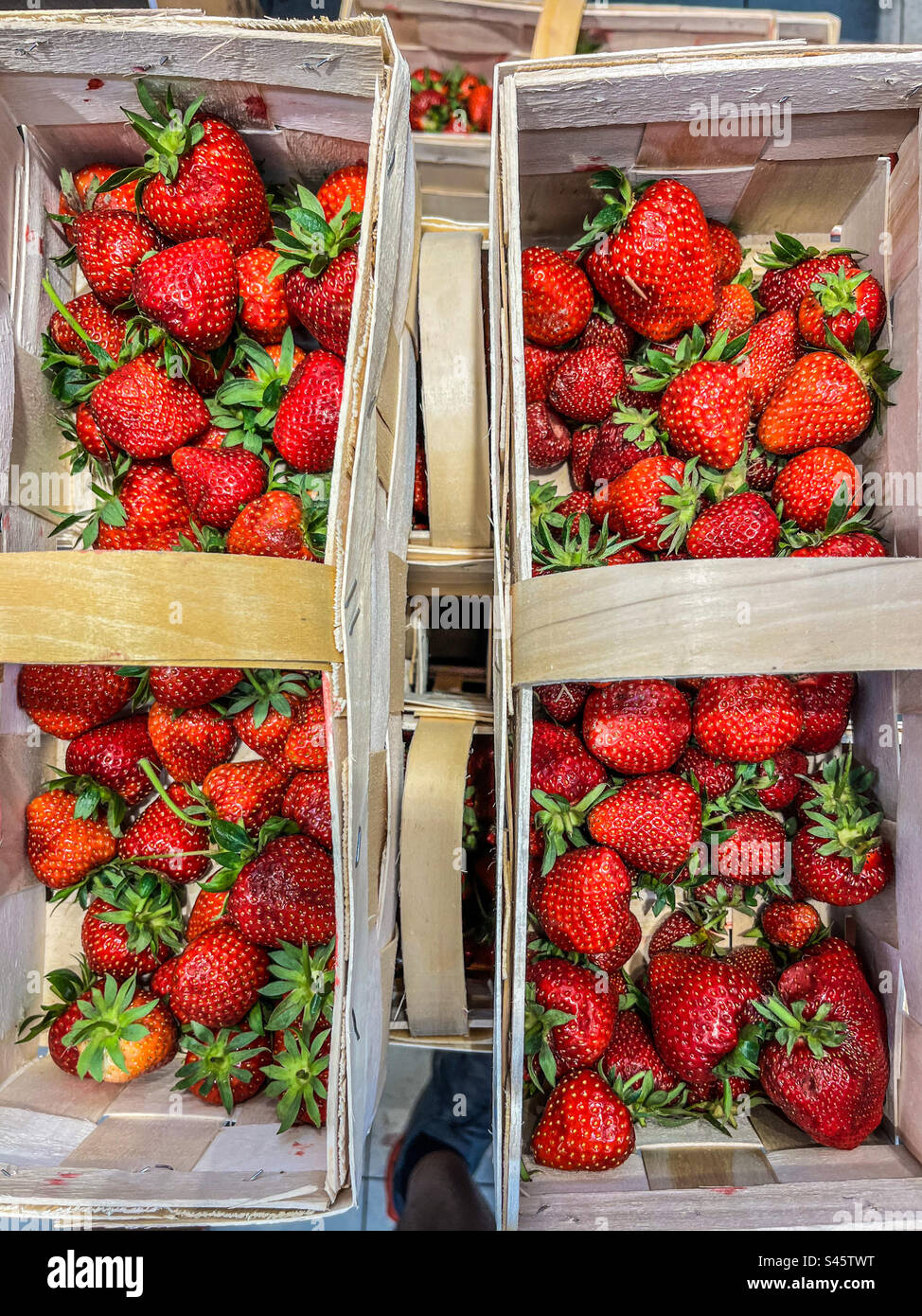 The season of strawberries in Poland Stock Photo - Alamy