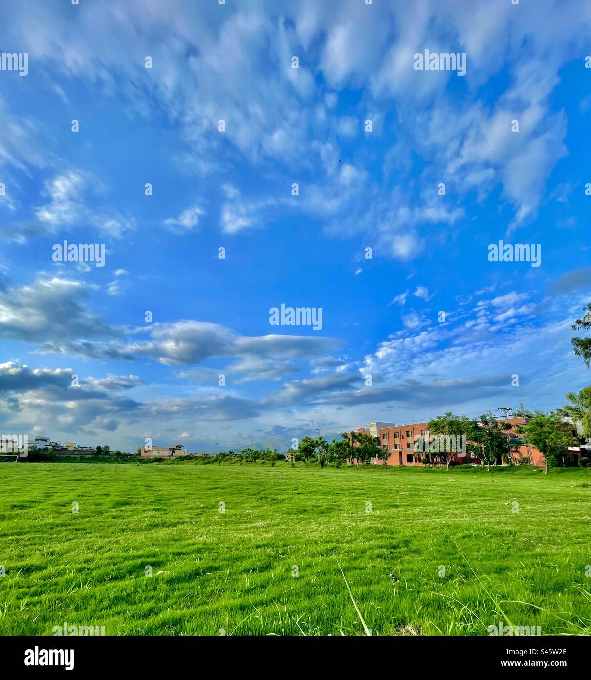 Greenry hi-res stock photography and images - Alamy