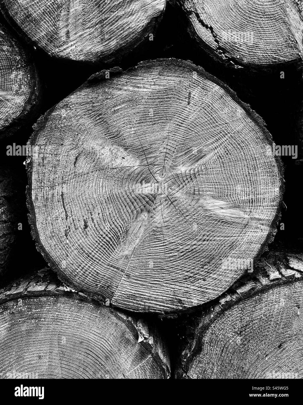 Log stack hi-res stock photography and images - Alamy
