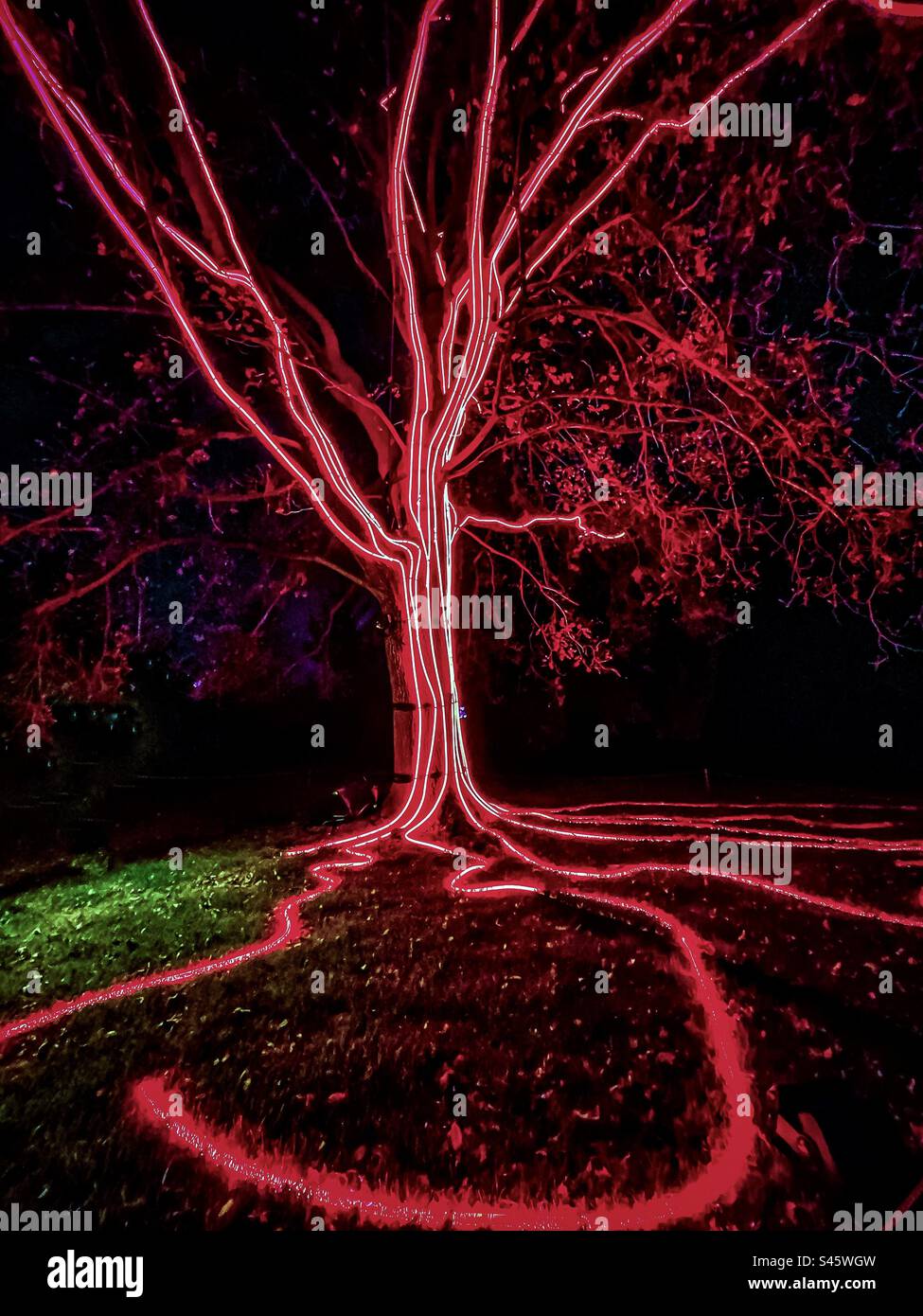 The red neon lit tree at Lightscape, Royal Botanic Gardens, Melbourne ...