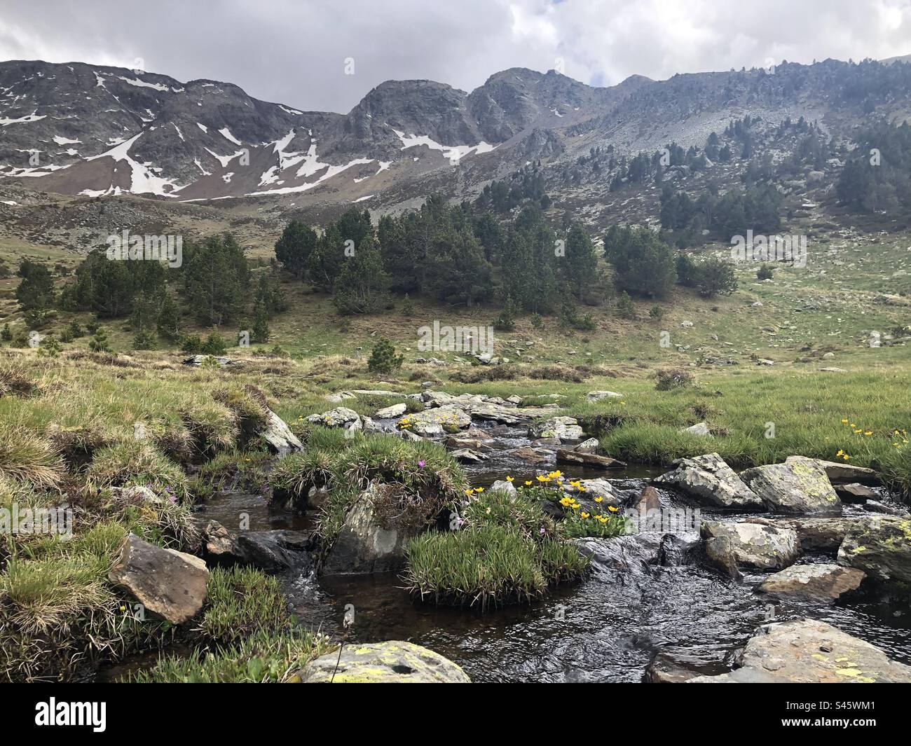 Stream mountain wild flowers hi-res stock photography and images - Alamy