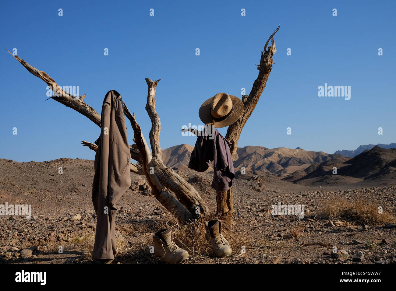 Clothes tree hi-res stock photography and images - Alamy