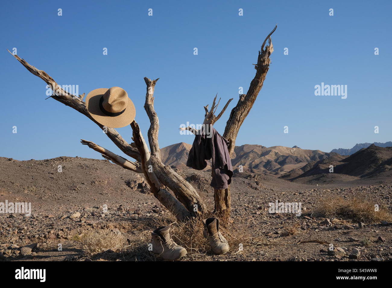Clothes tree hi-res stock photography and images - Alamy