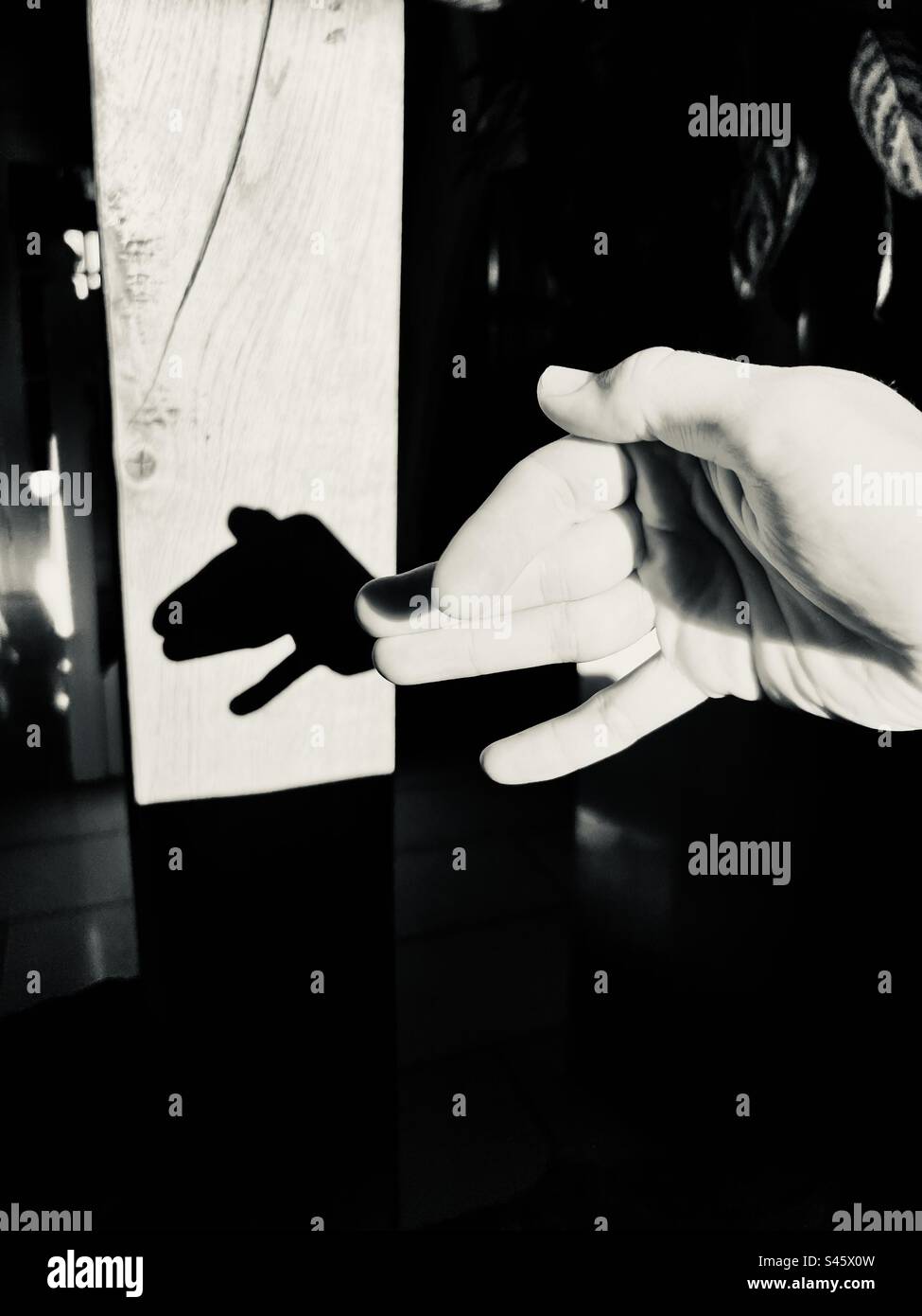 Hand shadow hi-res stock photography and images - Alamy