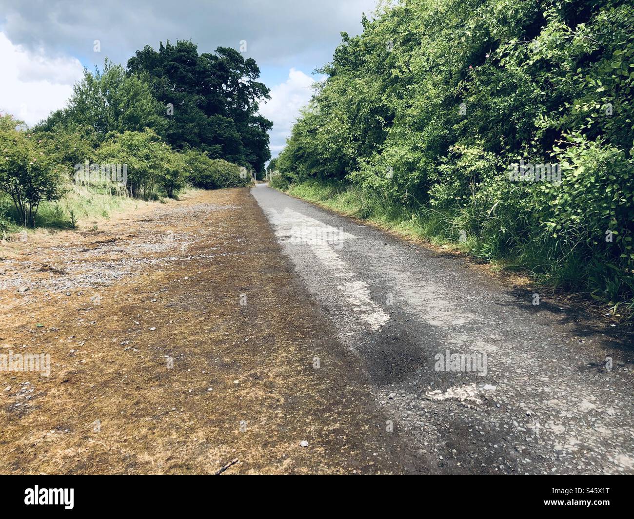 Wetherby road hi-res stock photography and images - Alamy