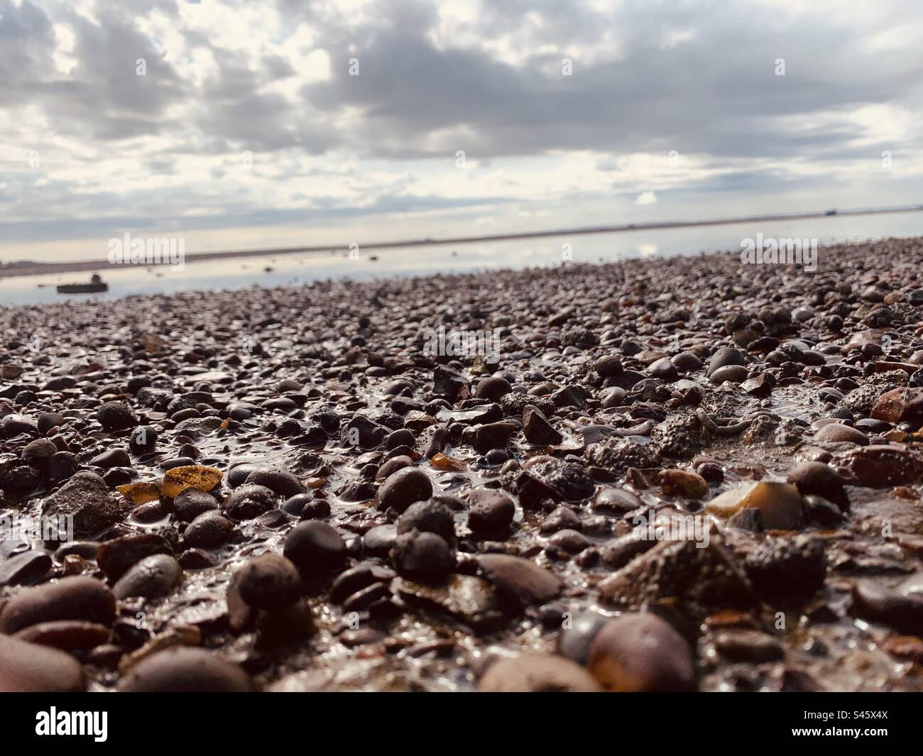 Pebble beach in Southend Stock Photo - Alamy